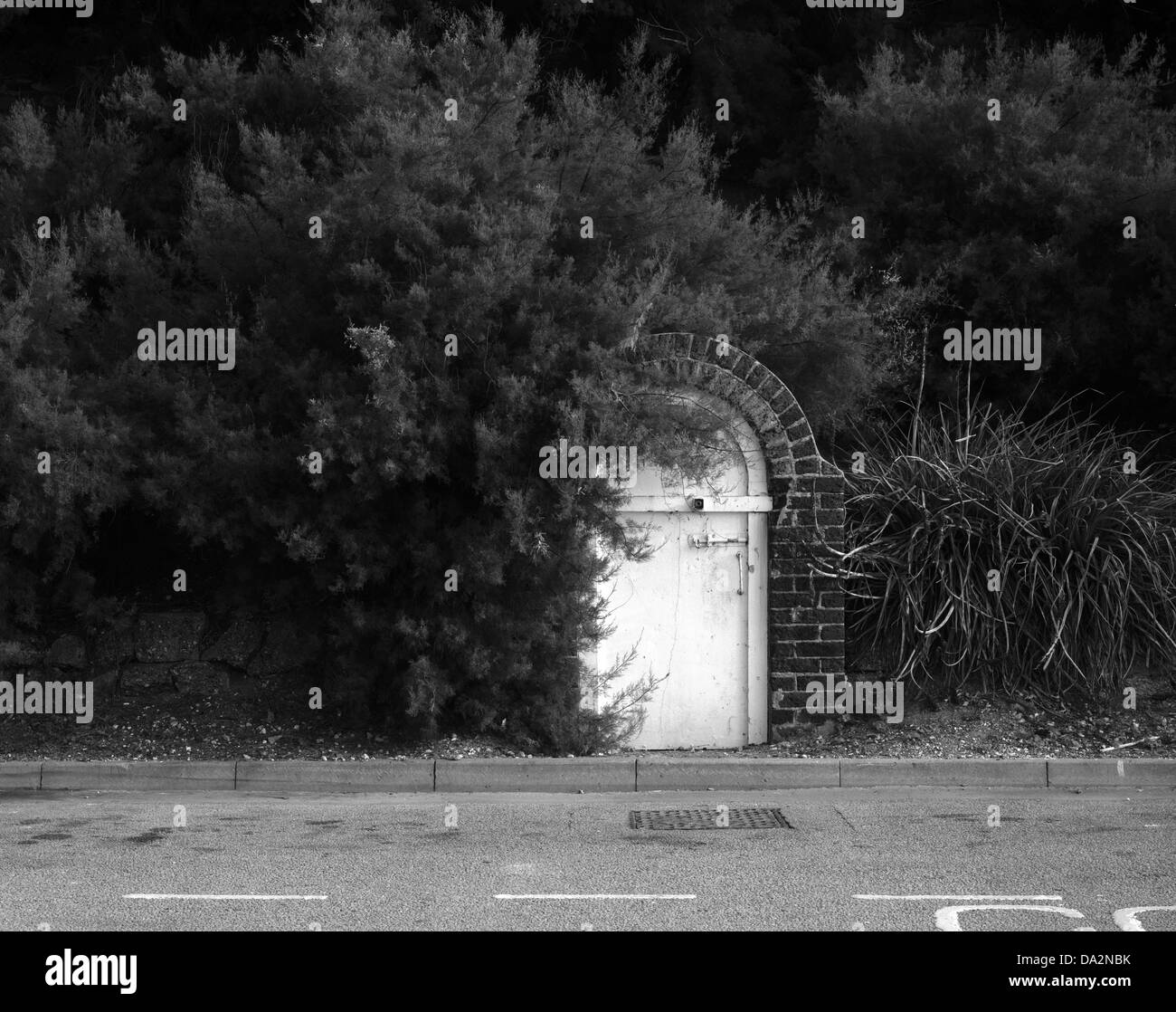 Overgrown secret doorway Stock Photo - Alamy