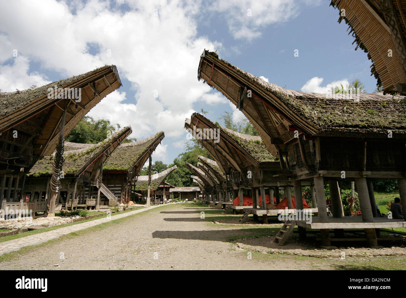 Traditional Torajan houses (tongkonan) in Kete Kesu vilage, Tona Toraja ...