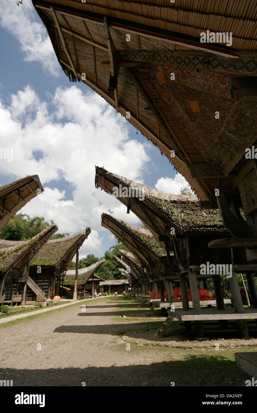 Traditional Torajan houses (tongkonan) in Kete Kesu vilage, Tona Toraja ...