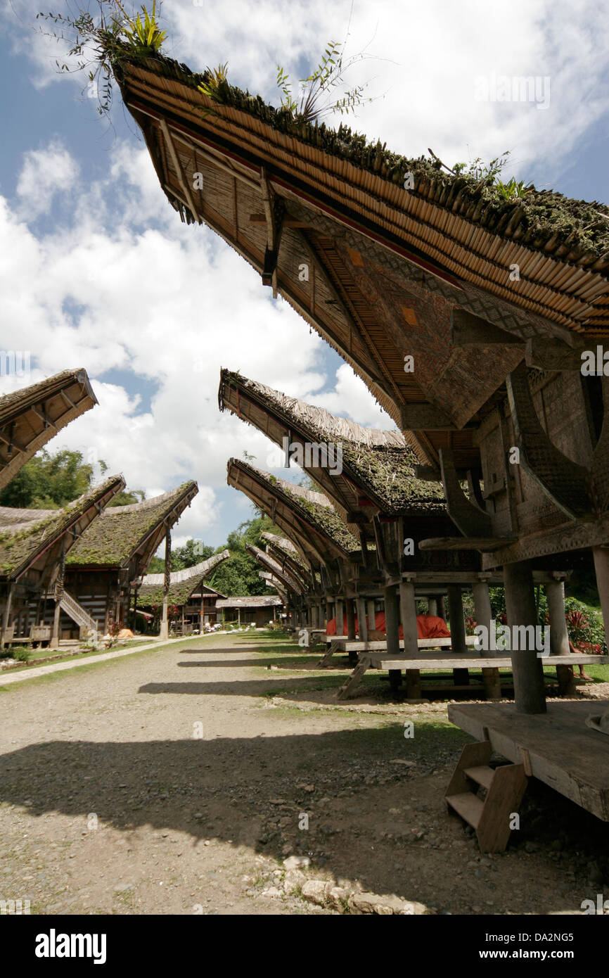 Traditional Torajan houses (tongkonan) in Kete Kesu vilage, Tona Toraja ...