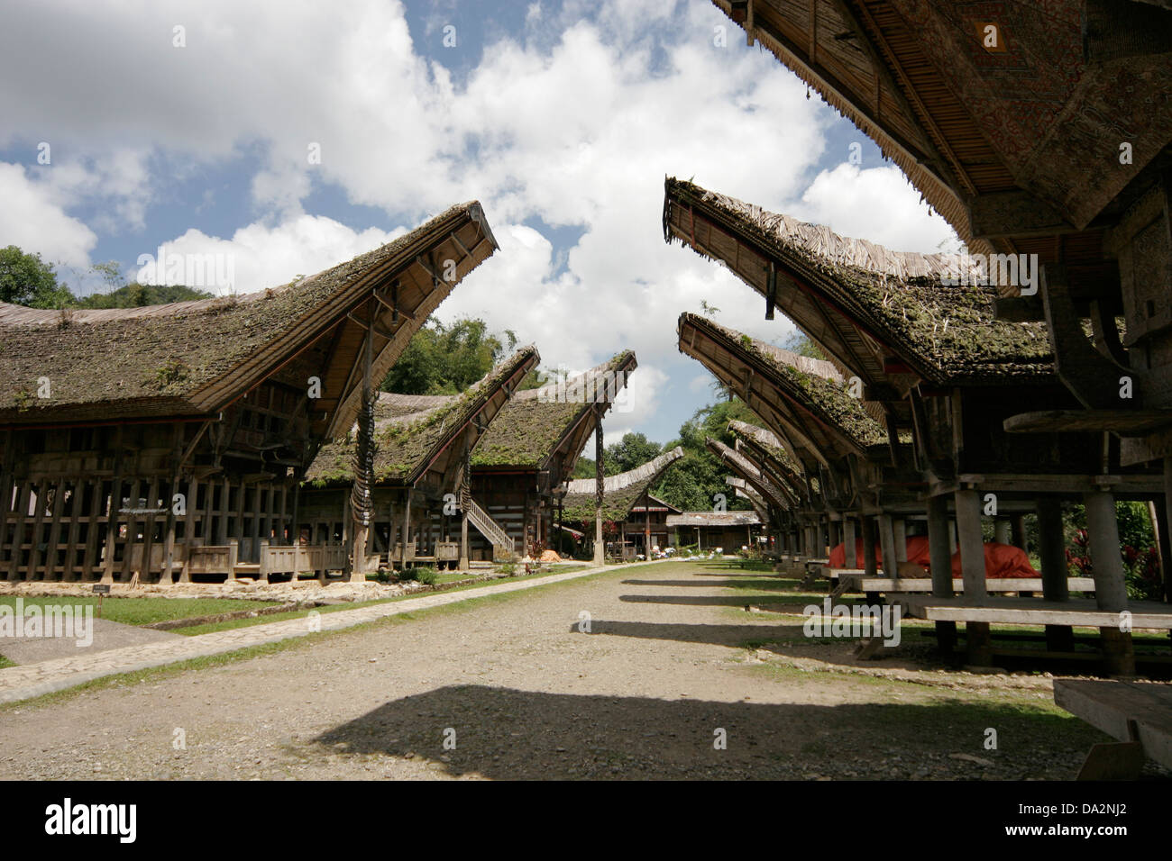 Traditional Torajan houses (tongkonan) in Kete Kesu vilage, Tona Toraja ...