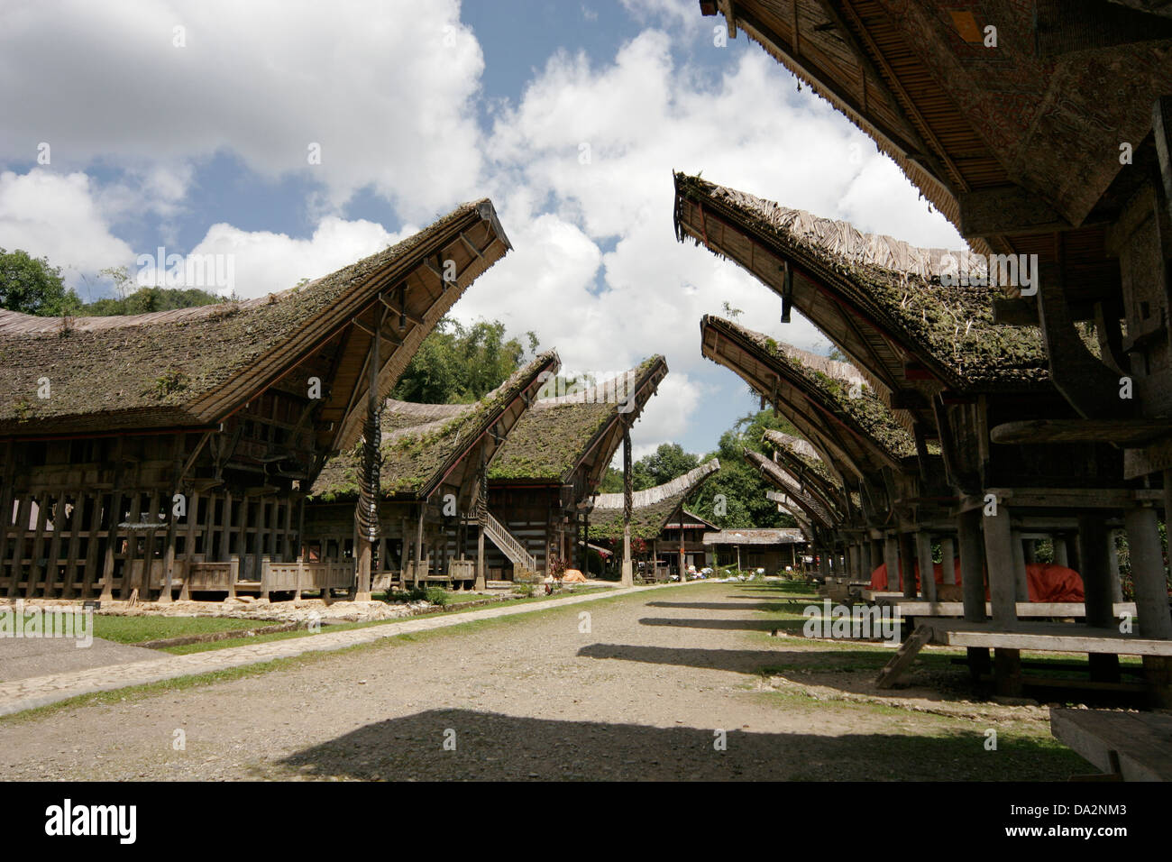 Torajan houses hi-res stock photography and images - Alamy