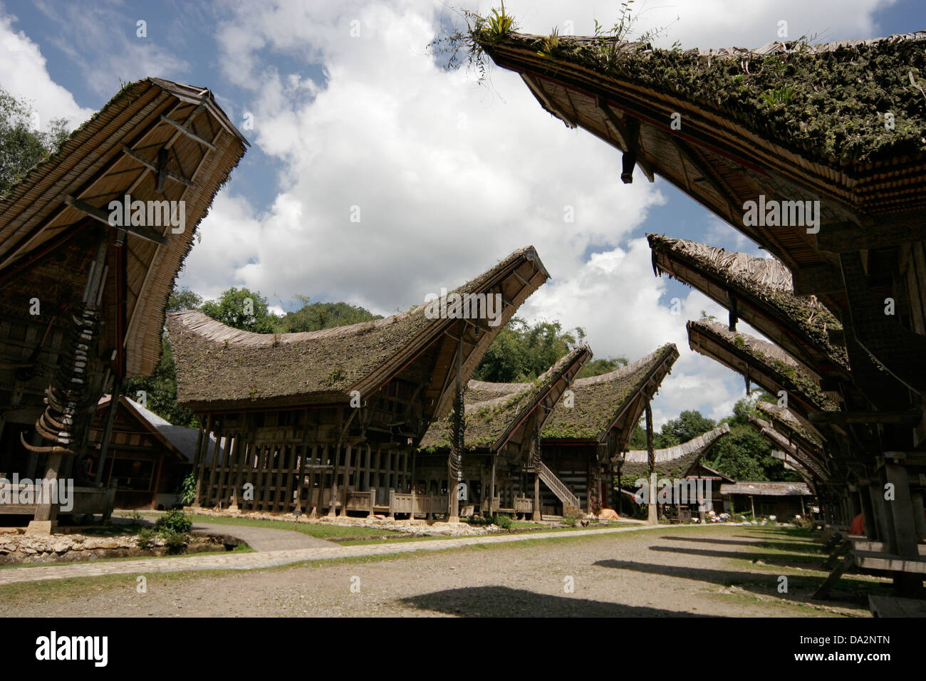 Traditional torajan buildings hi-res stock photography and images - Alamy
