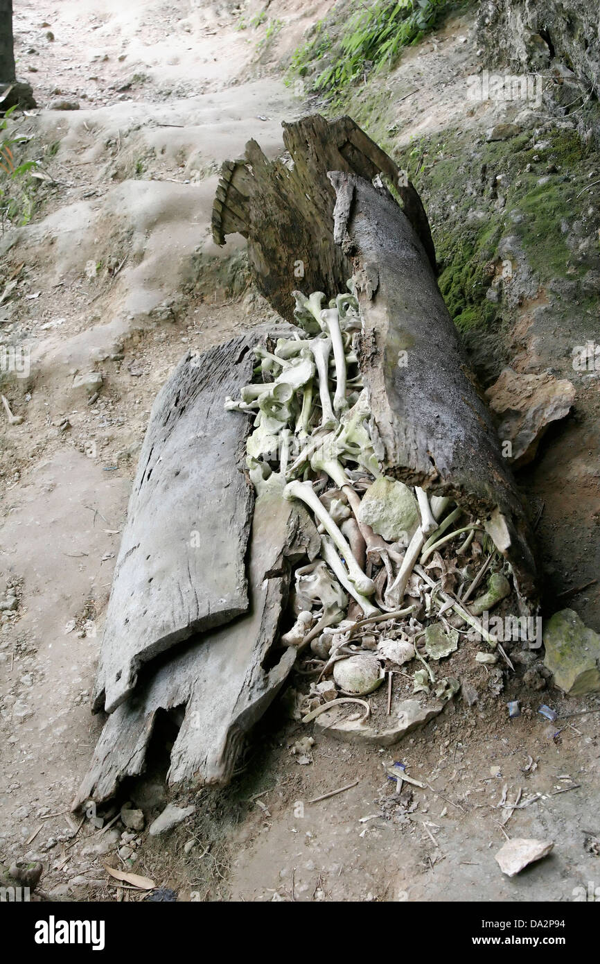 Exposed skulls hi-res stock photography and images - Alamy