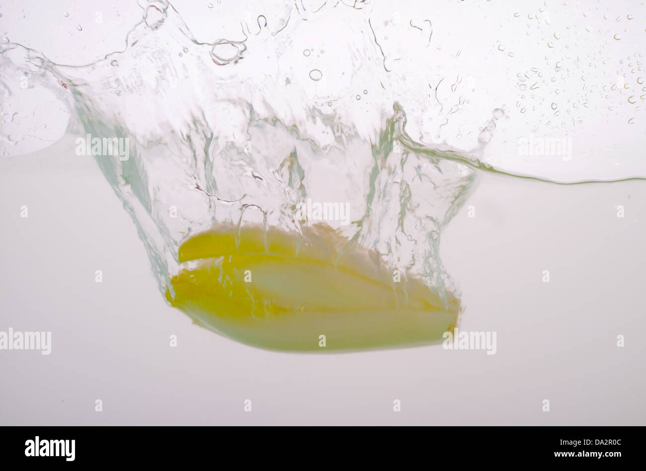 Chicory in water Stock Photo - Alamy