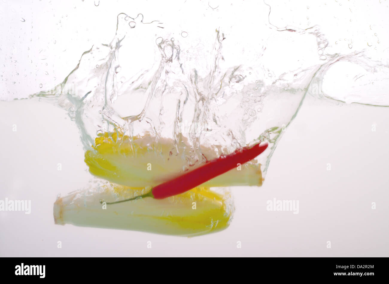 Chicory in water Stock Photo - Alamy