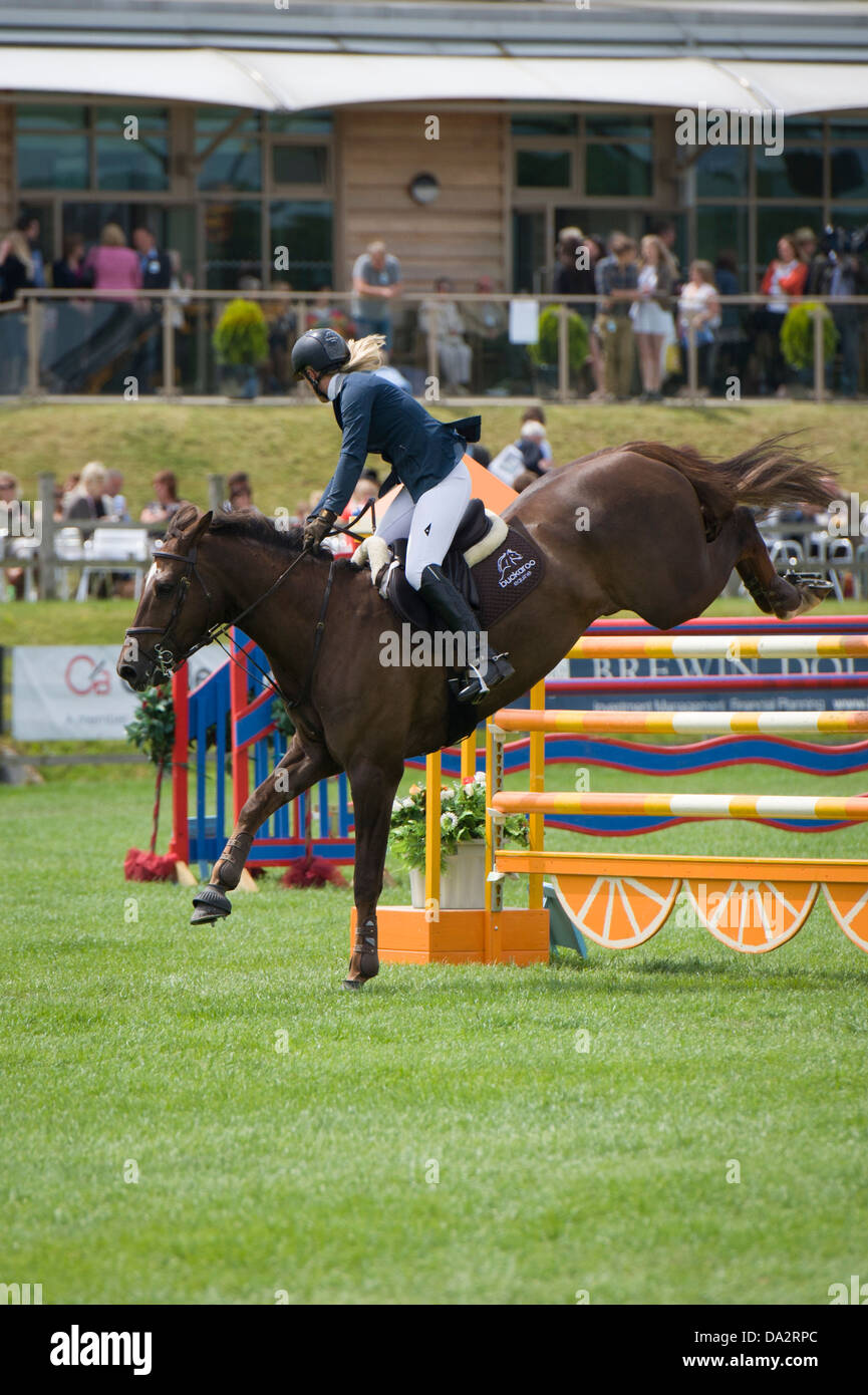 Chestnut Eventing Horse High Resolution Stock Photography and Images ...