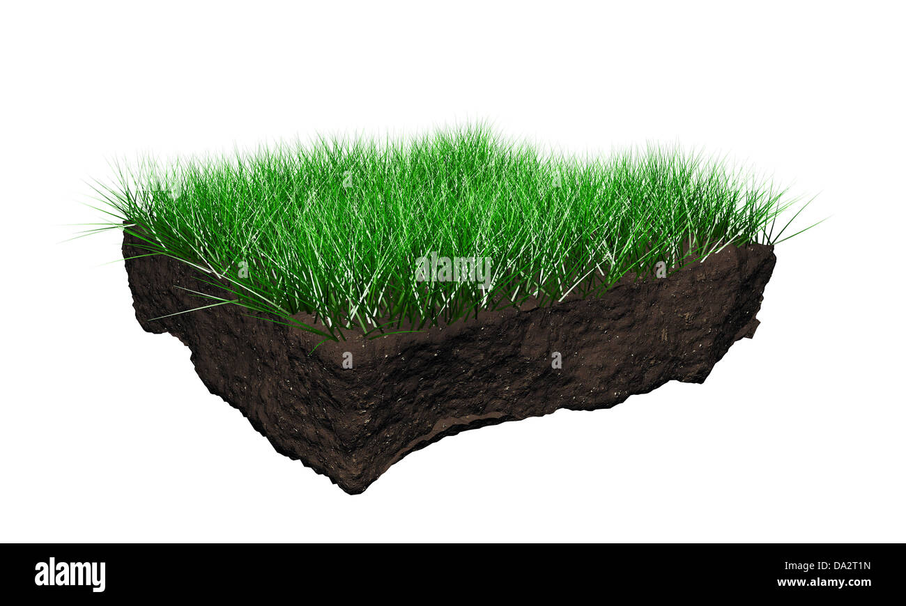 soil section isolated on white background Stock Photo - Alamy
