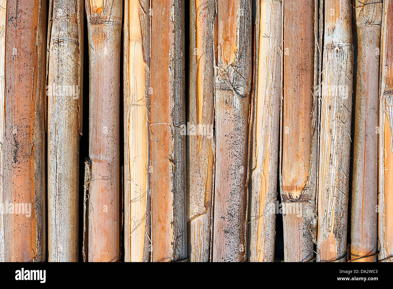 This is a close up shot of old reed like nice background Stock Photo ...