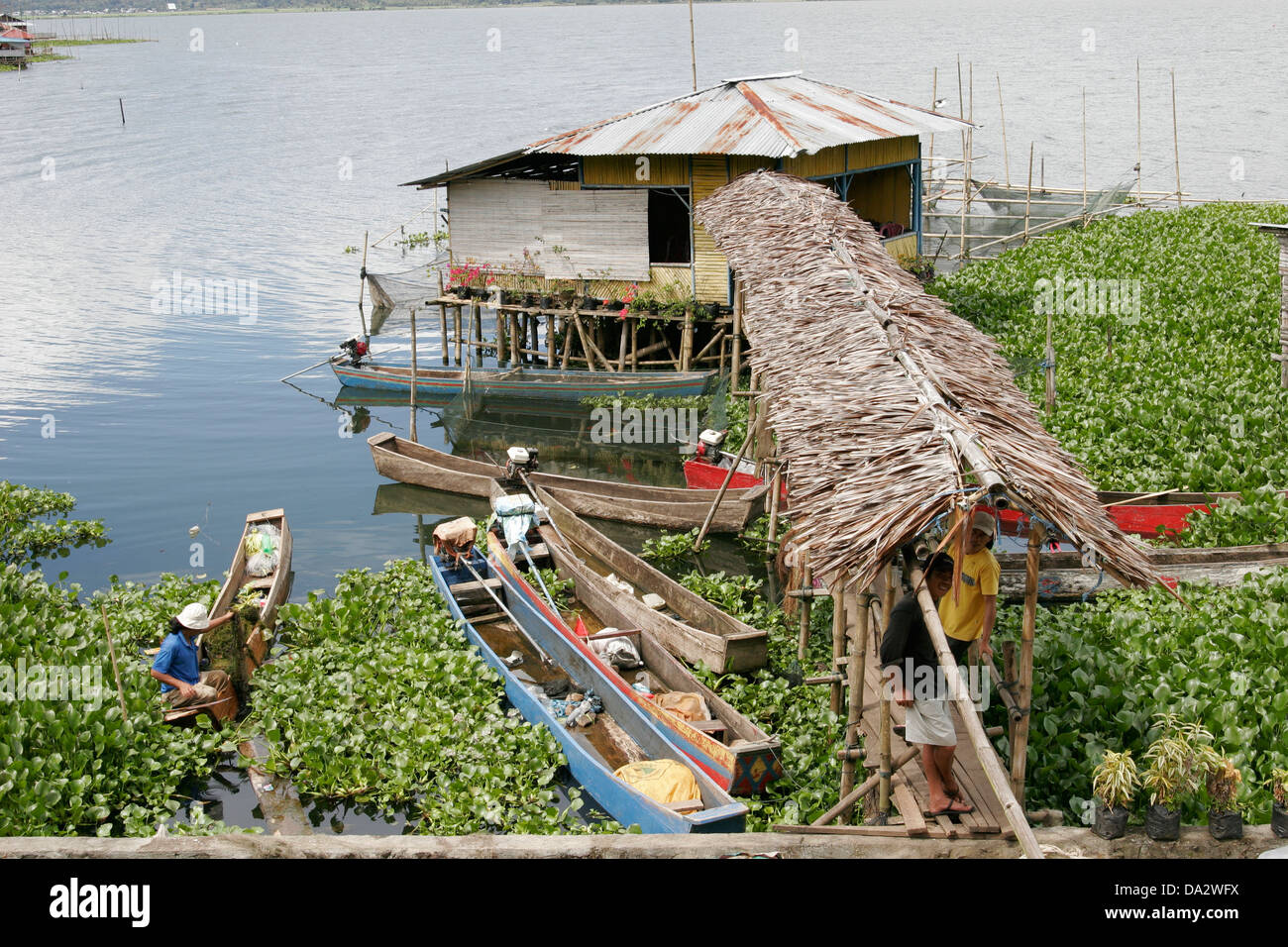 Lake Tondano near Manado, Sulawesi, Indonesia Stock Photo - Alamy