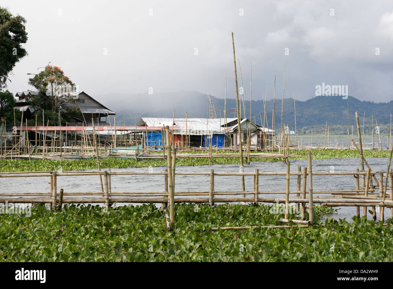 Tondano lake hi-res stock photography and images - Alamy