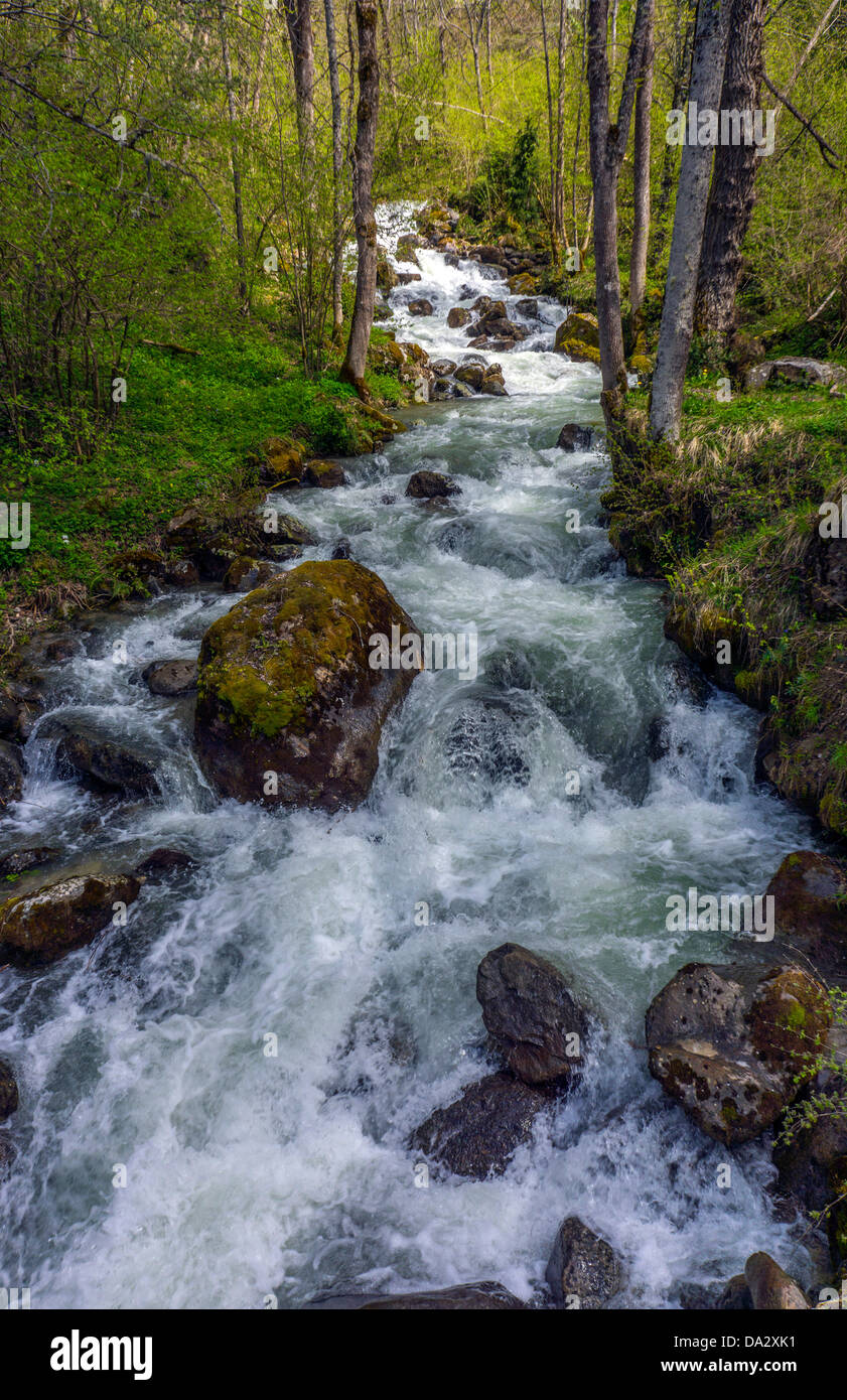 Stream rushing though spring woodland, whitewater Stock Photo - Alamy