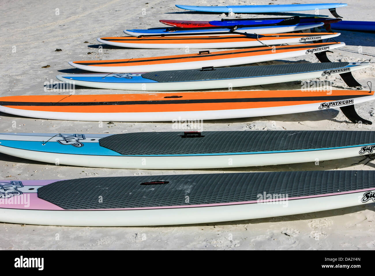 Line of Surfboards on the beach in Florida Stock Photo - Alamy
