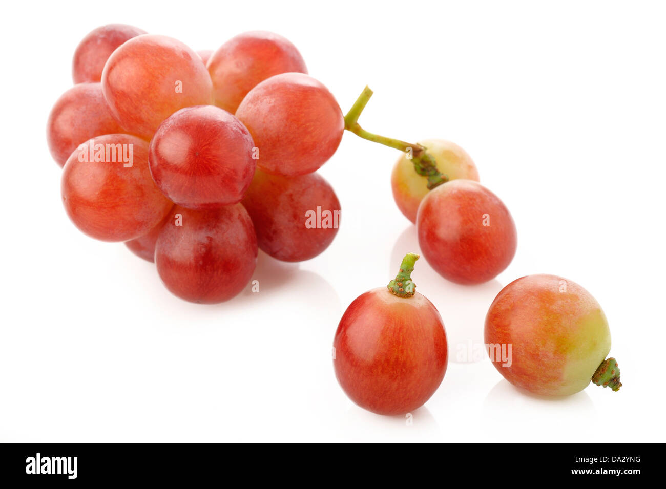 Winemaking grapes Cut Out Stock Images & Pictures - Alamy