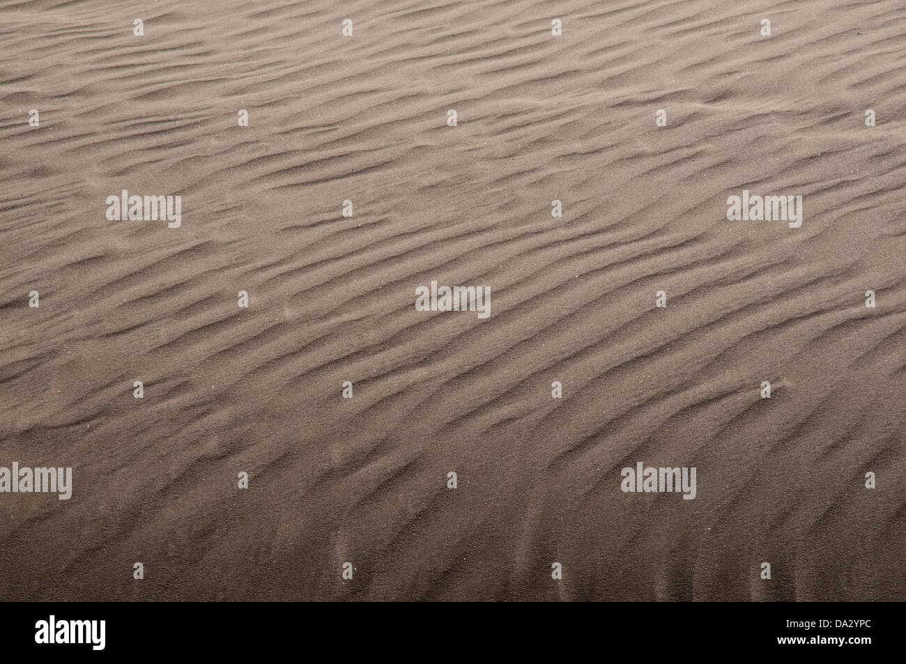 Near the northernmost place in mainland New Zealand magnificent sand ...