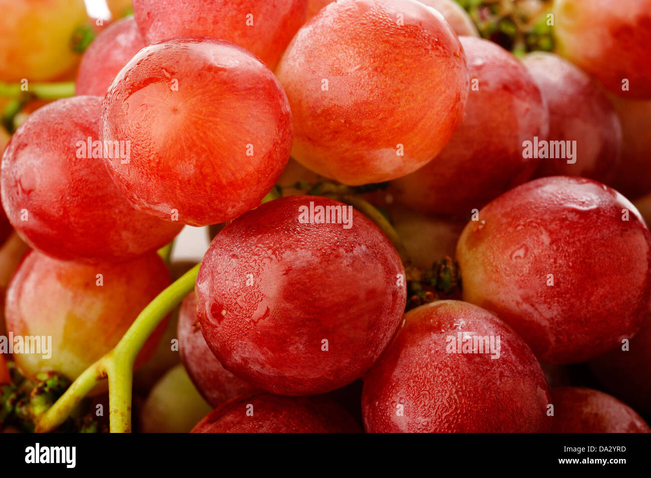 Grapes with water drops hi-res stock photography and images - Alamy