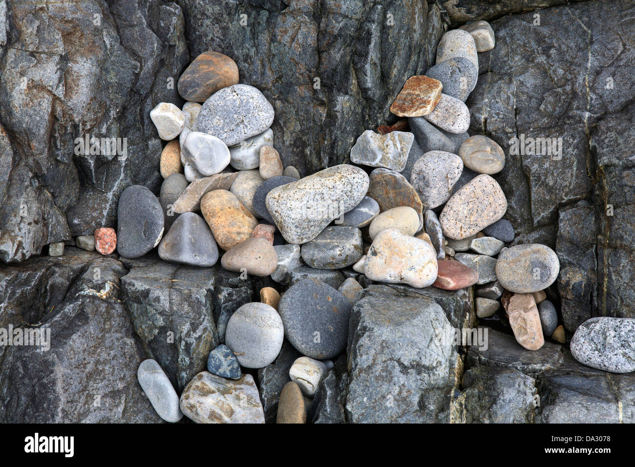 Pebbles at the beach (Acadia National Park, Maine Stock Photo - Alamy