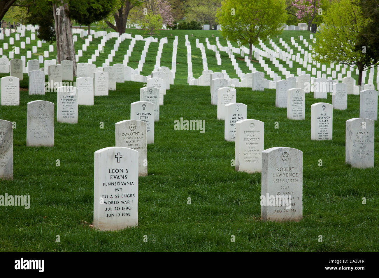 Lines of gravestones at Arlington National Cemetery in Arlington ...