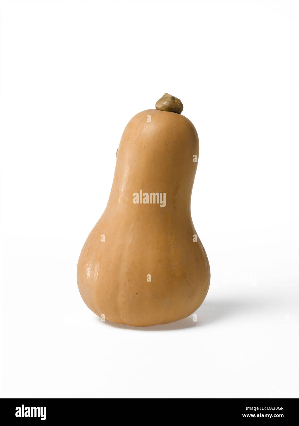 Hubbard squash hi-res stock photography and images - Alamy