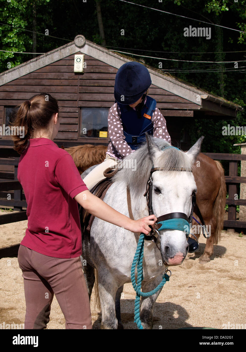 Stable learning hi-res stock photography and images - Alamy