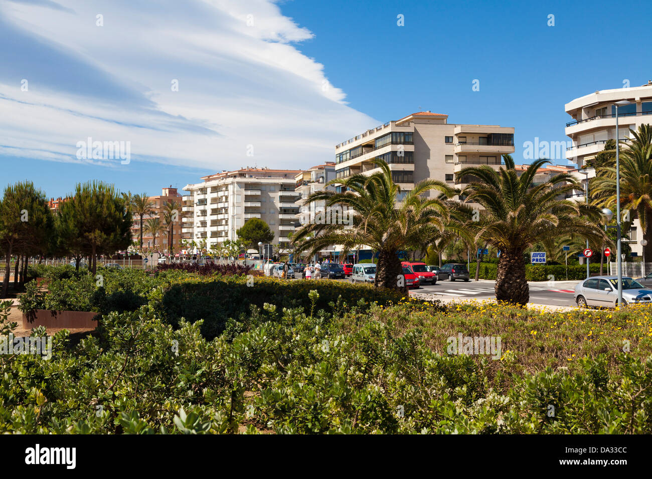 Promenade la pineda palm trees hi-res stock photography and images - Alamy