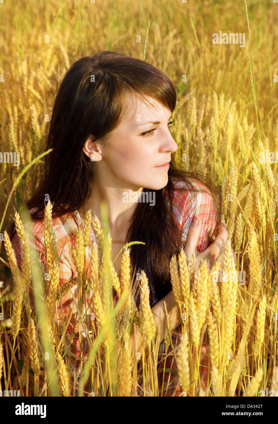 Pretty brunette in a wheat field Stock Photo - Alamy