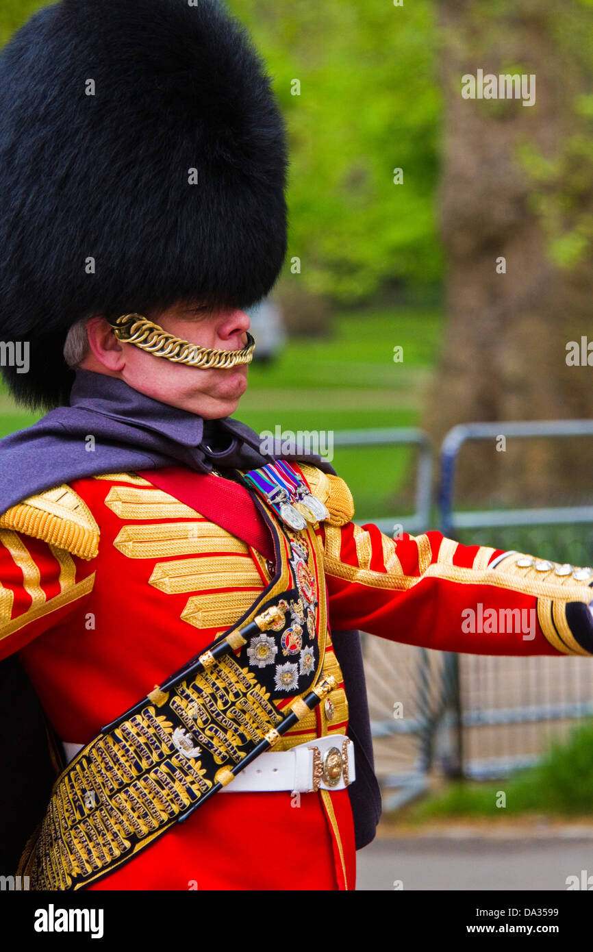 Colour sergeant horse hi-res stock photography and images - Alamy