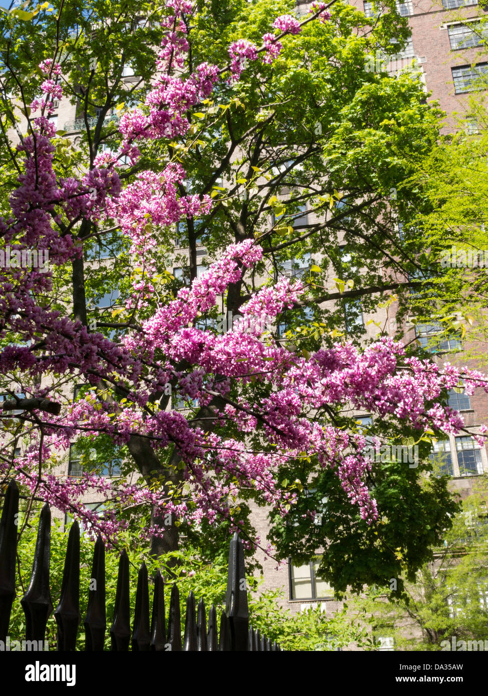 Gramercy Park, NYC Stock Photo - Alamy
