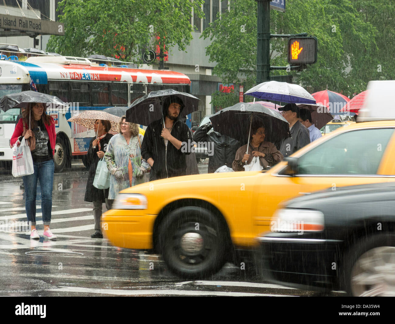Pedestrians in Rainstorm under Brollies, NYC Stock Photo - Alamy