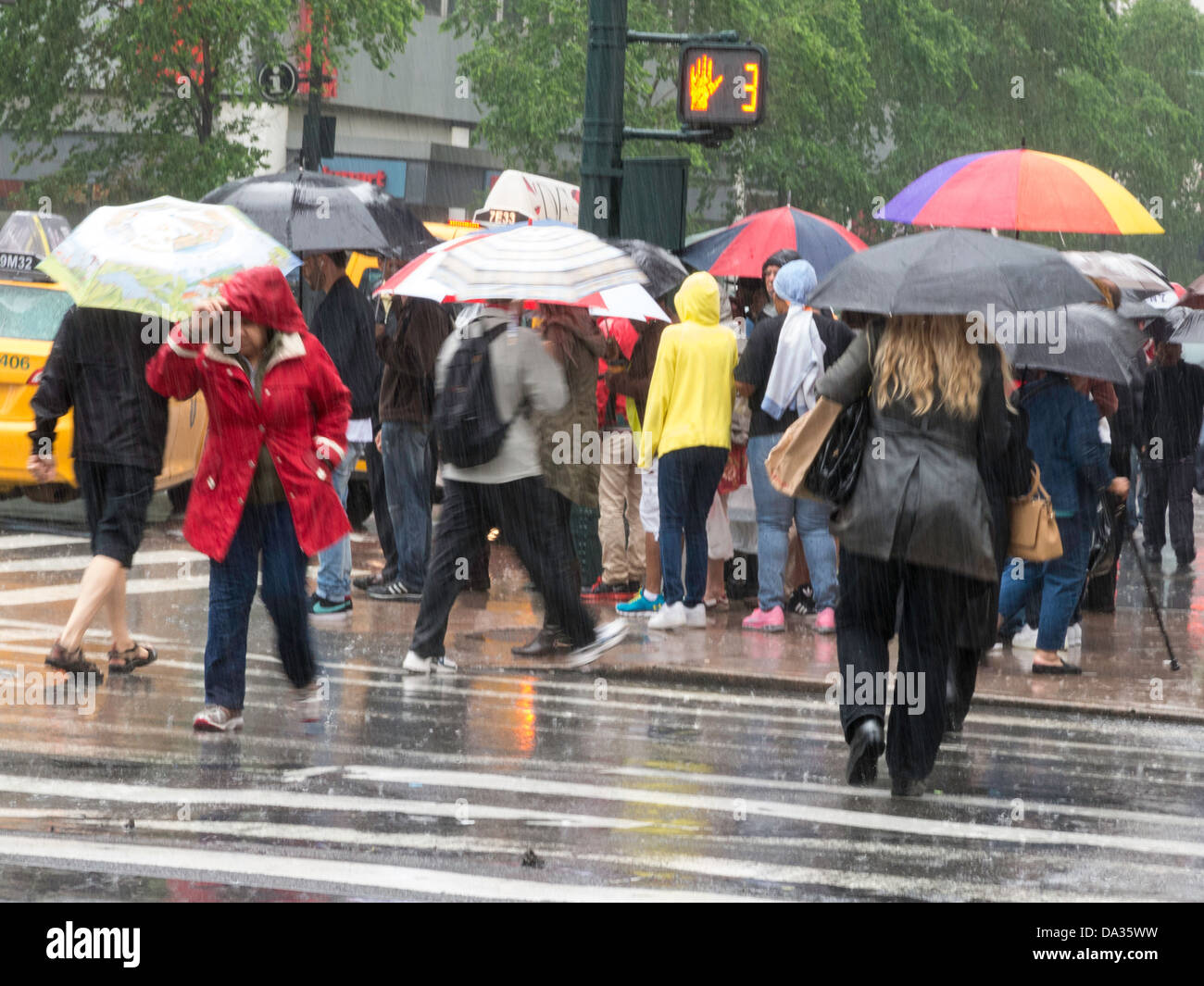 Pedestrians in Rainstorm Under Brollies, NYC Stock Photo - Alamy