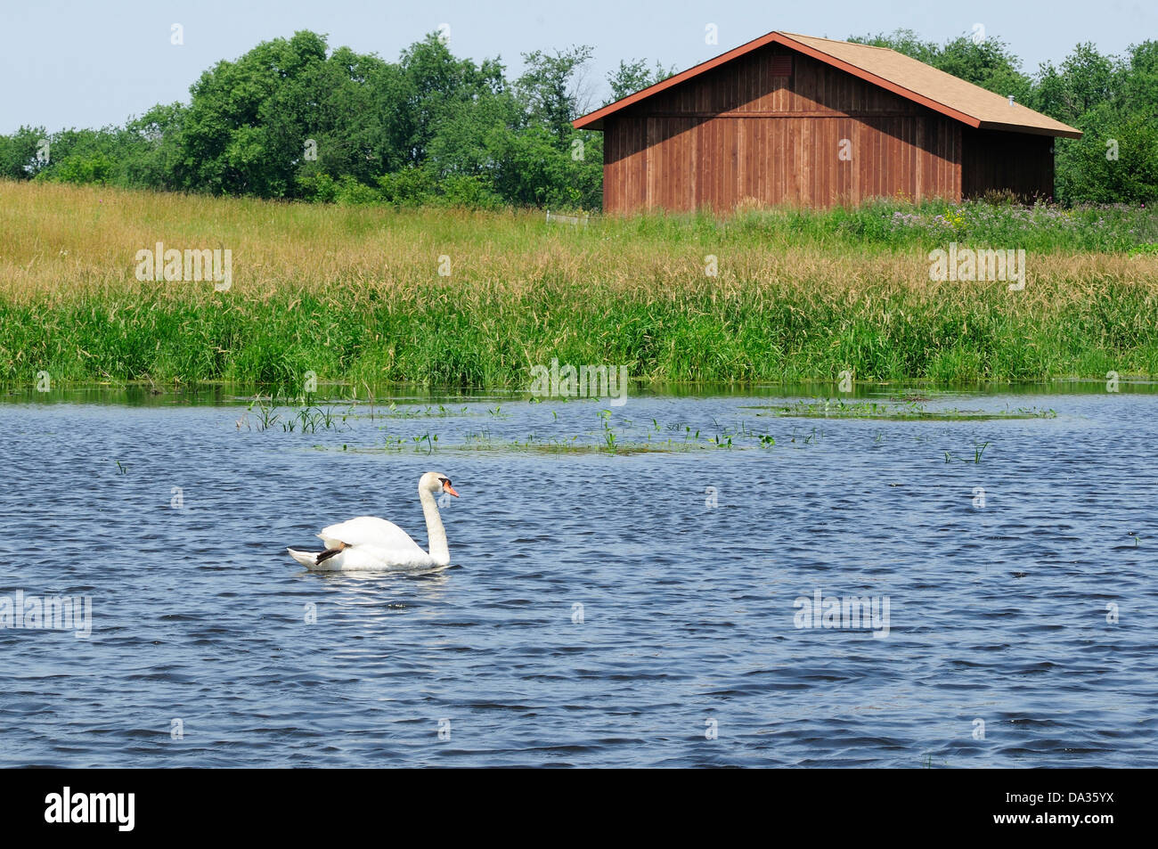 Swan Barn High Resolution Stock Photography and Images - Alamy