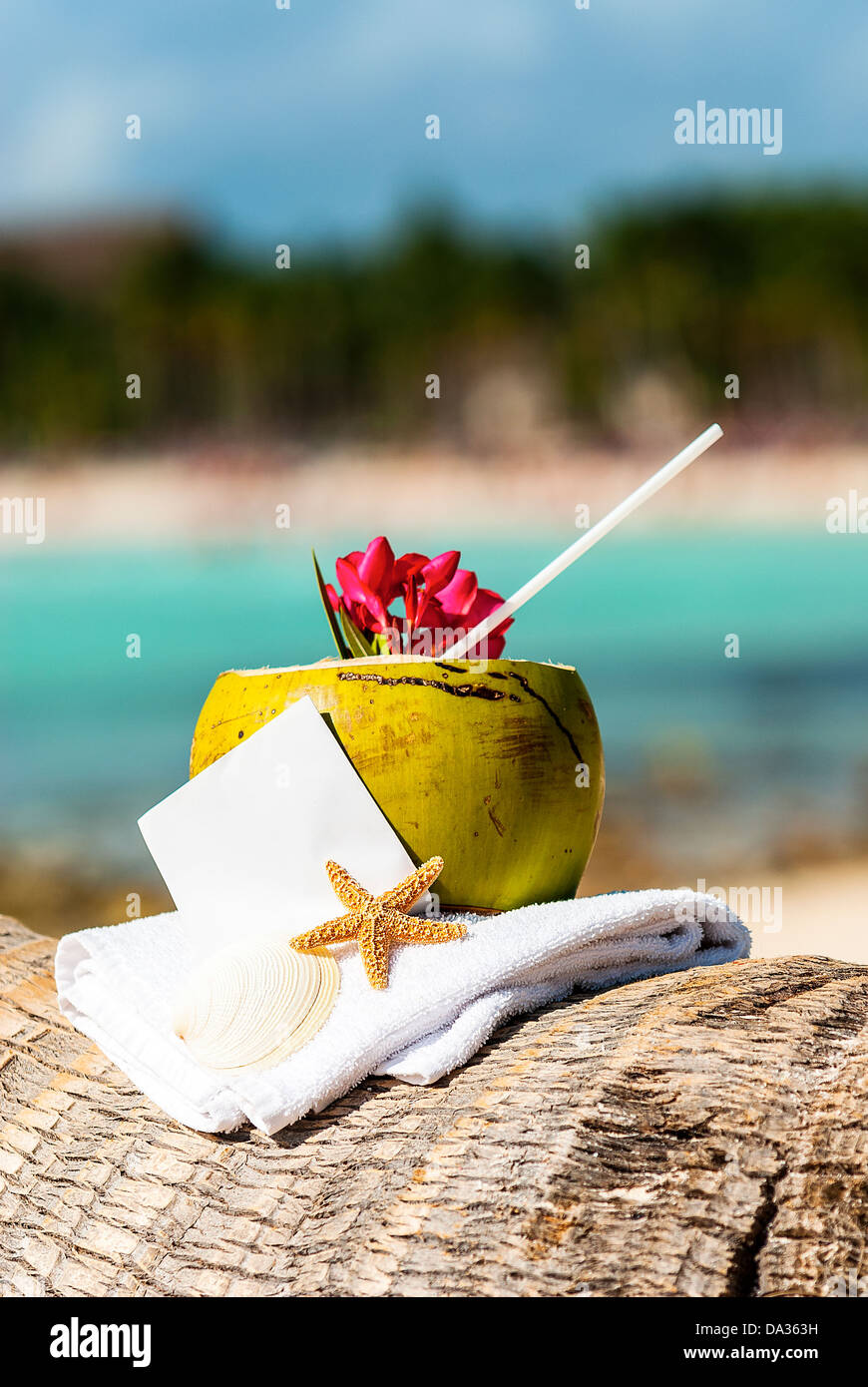Coconut cocktail starfish tropical Caribbean beach refreshment and ...