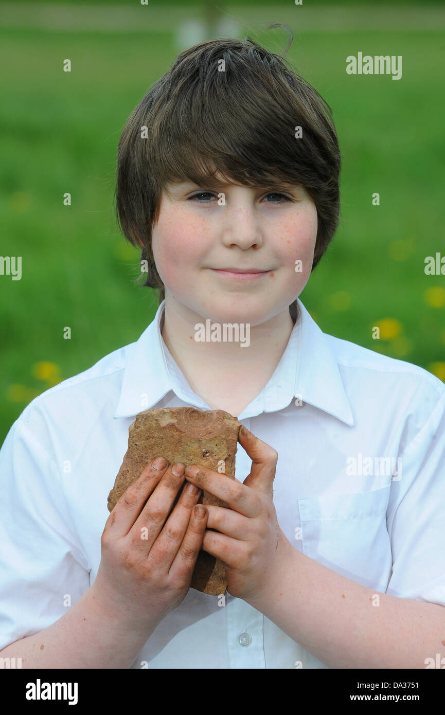 Fossil Snail Shell High Resolution Stock Photography and Images - Alamy