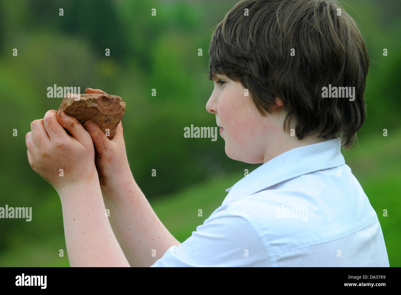 A snail fossil that had an anti-clockwise spiral on its shell, showing ...