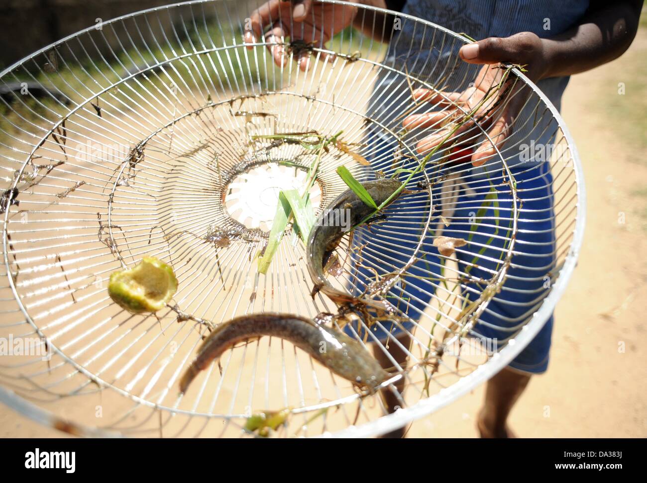 Children hold up fish that they caught in the drain water in Maputo ...