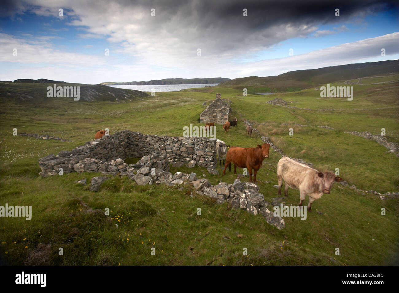 Skerray hi-res stock photography and images - Alamy