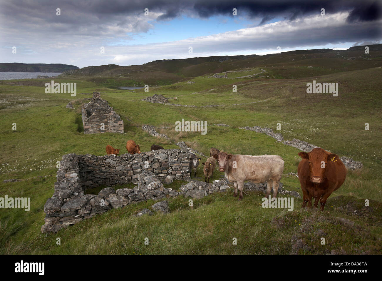 Skerray hi-res stock photography and images - Alamy