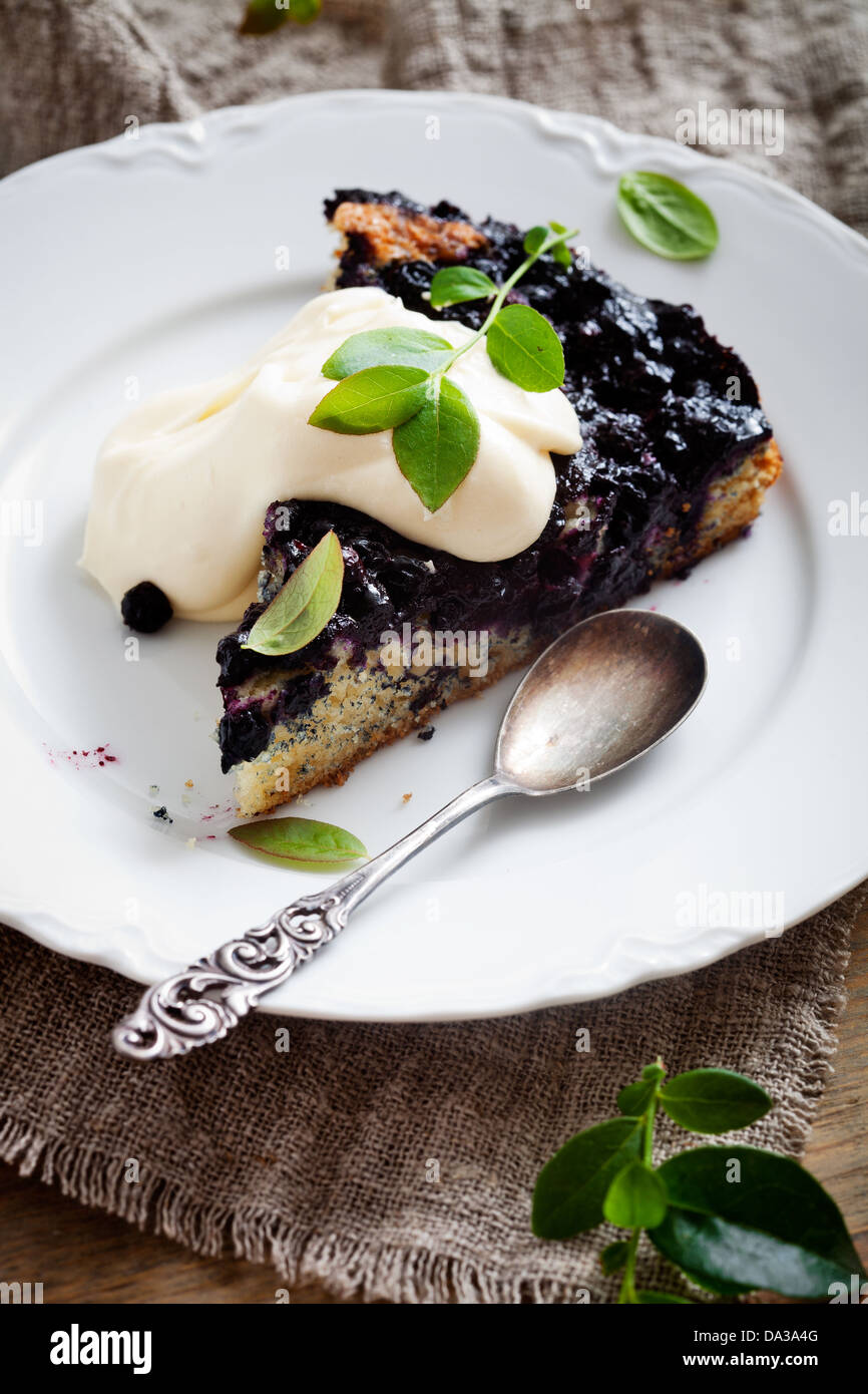 Homemade blueberry pie with whipped vanilla flavored cream Stock Photo ...