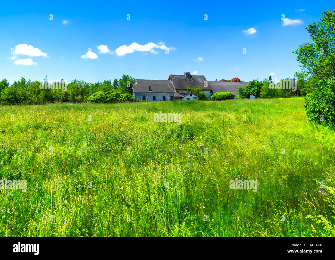 Green field and farmhouse hi-res stock photography and images - Alamy
