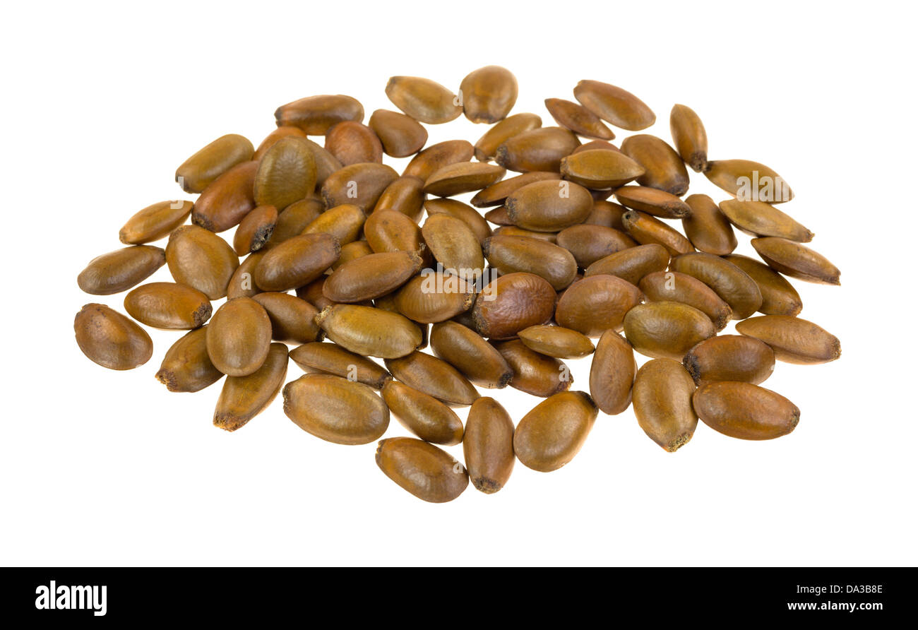 A group of soursop seeds on a white background Stock Photo - Alamy