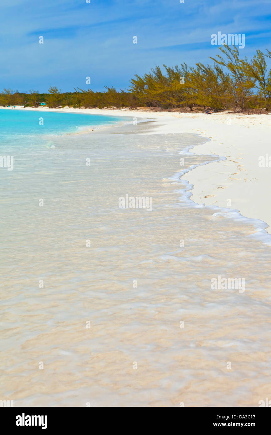 tropical beach in the bahamas Stock Photo - Alamy