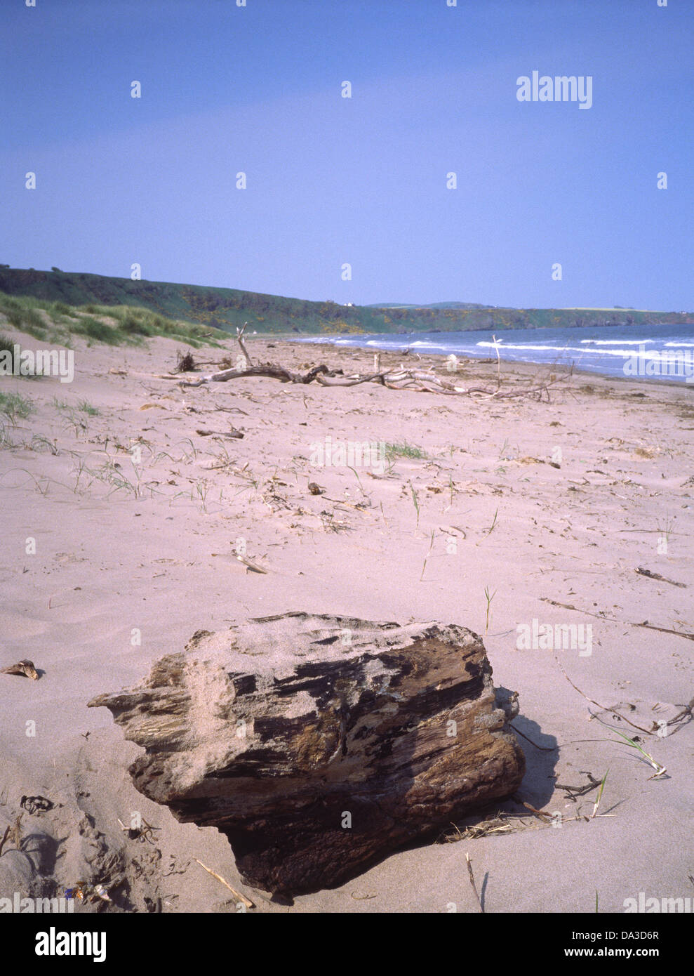 St cyrus national nature reserve hi-res stock photography and images ...