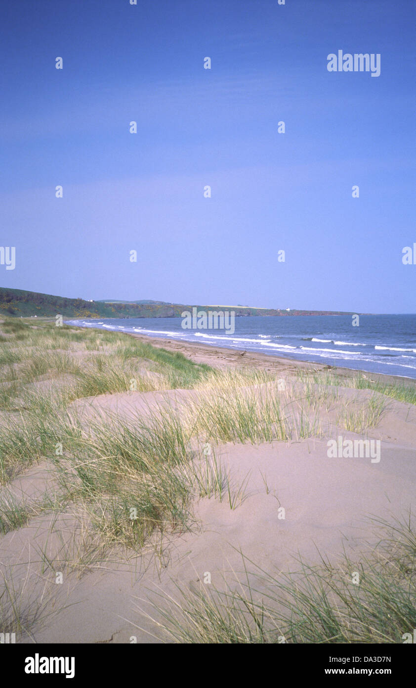 St Cyrus Beach and Bay, St. Cyrus National Nature Reserve ...
