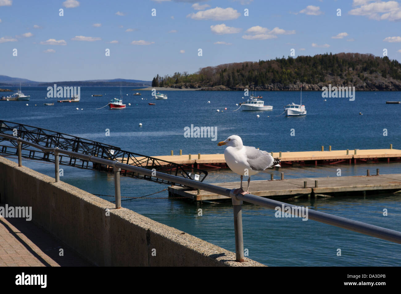 Bar harbor maine and boats hi-res stock photography and images - Alamy