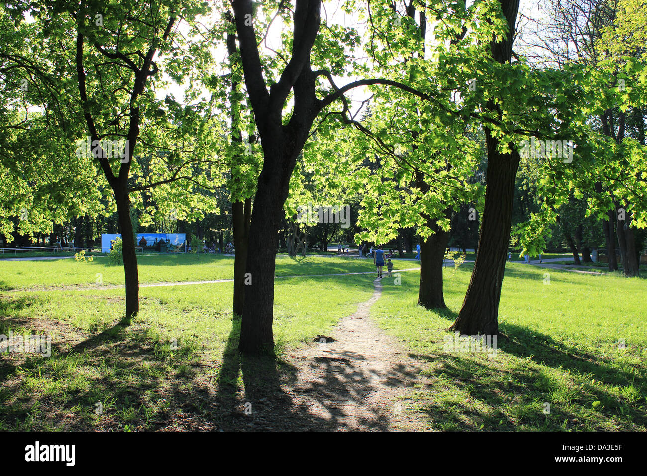 image of people having a rest in park with greater trees Stock Photo ...