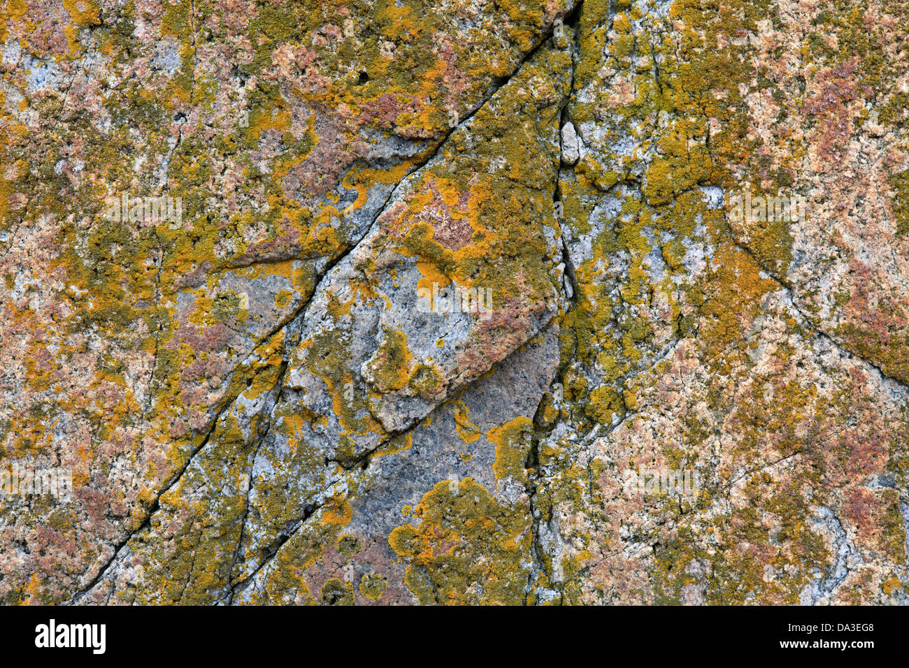 Orange and yellow lichen on rocks hi-res stock photography and images ...