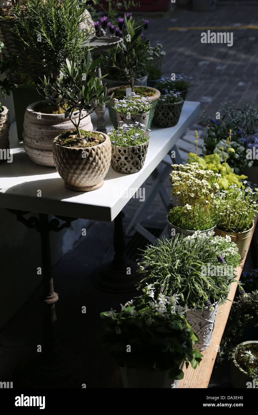 Flower shop stall Stock Photo - Alamy