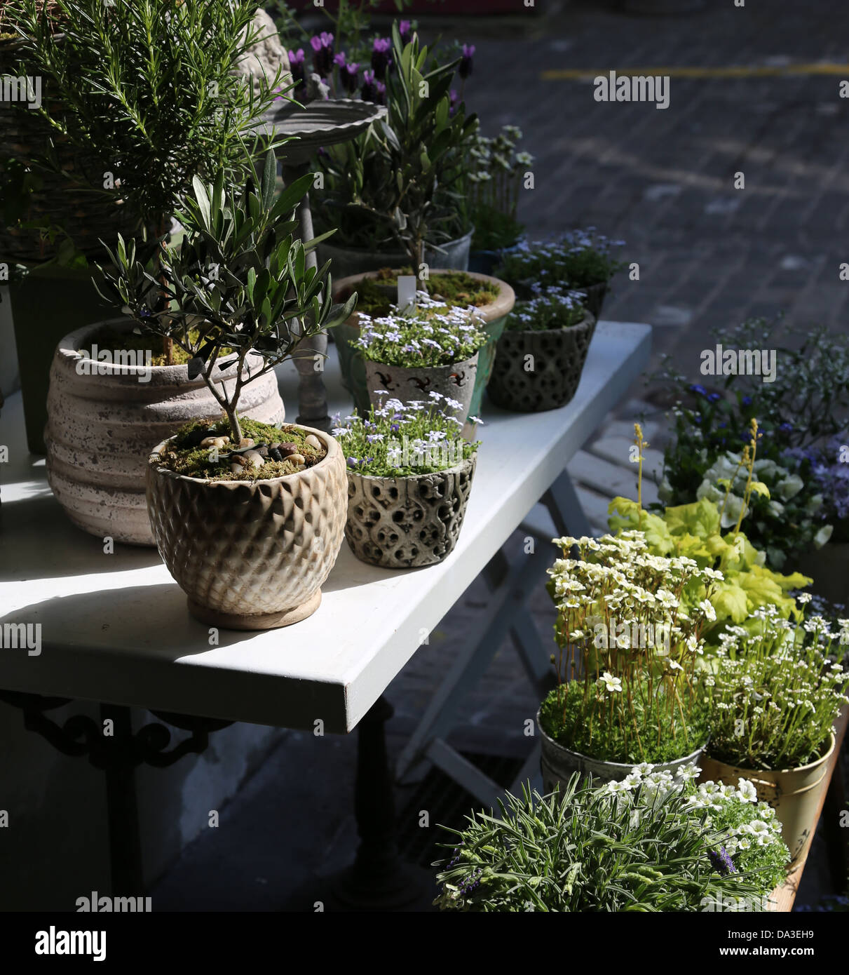 Flower shop stall Stock Photo - Alamy