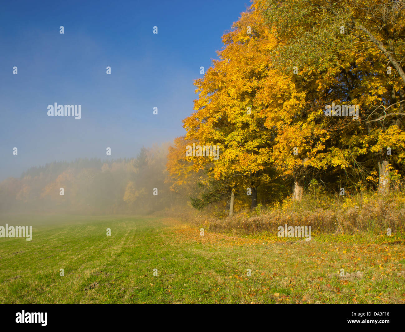 Retreating hi-res stock photography and images - Alamy