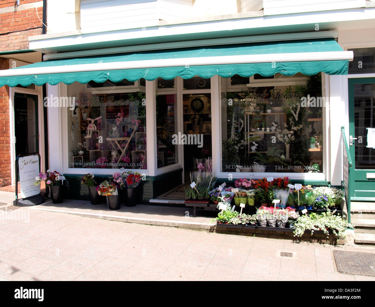 Just Flowers florist, Seaton, Devon, UK 2013 Stock Photo - Alamy